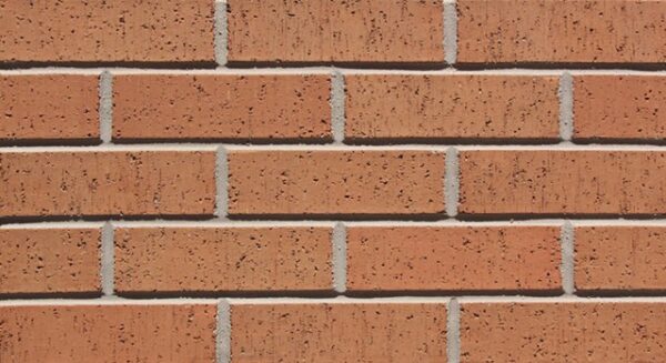 South New Jersey Buff Face Brick - Belden Tri-State Building Materials